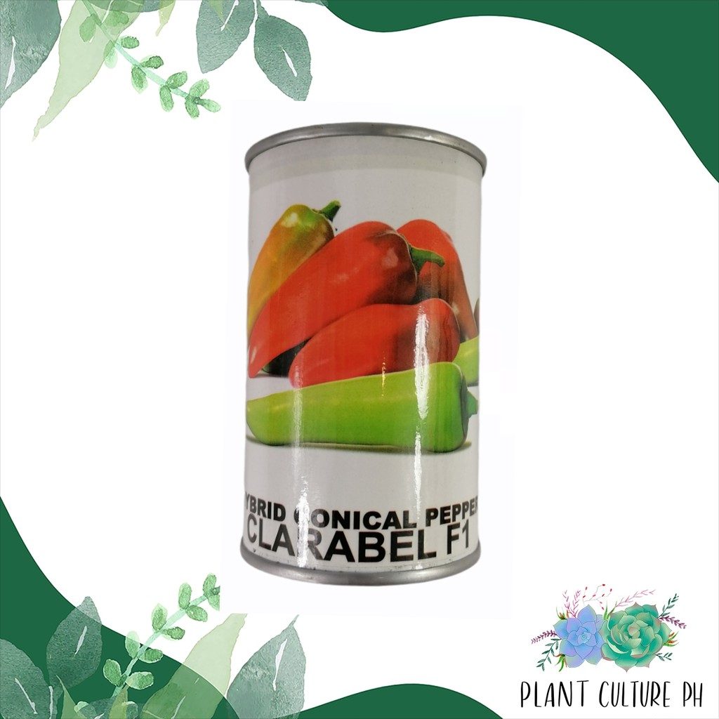 Condor Quality Seeds Hybrid Conical Pepper Clarabel F1 250 Minimum Of ...