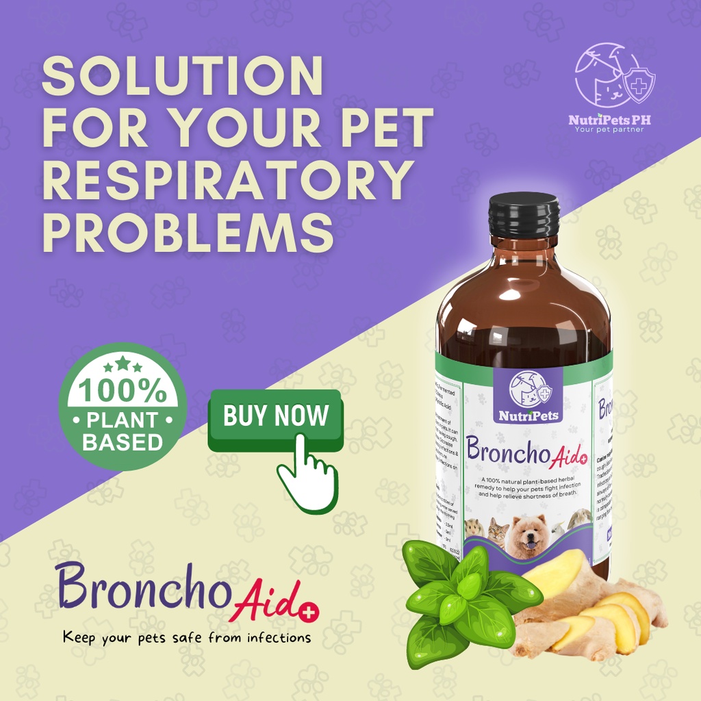 UBO SIPON LAGNAT ASO PUSA Broncho Aid 60ML Colds and Cough,Sneezing ...