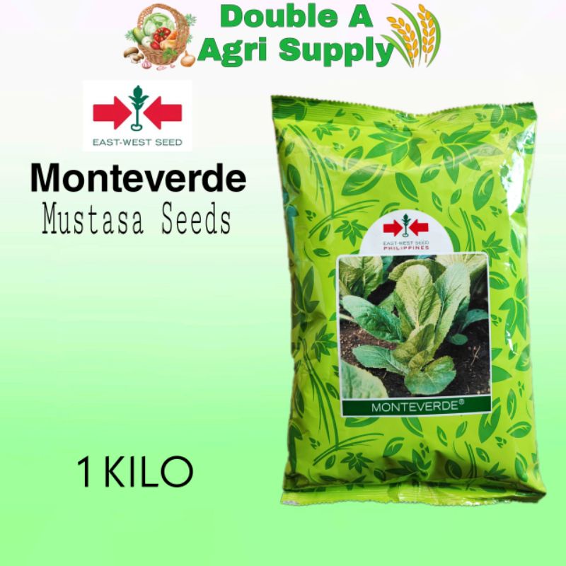 Monteverde Mustasa / Mustard - East West Seed | Shopee Philippines