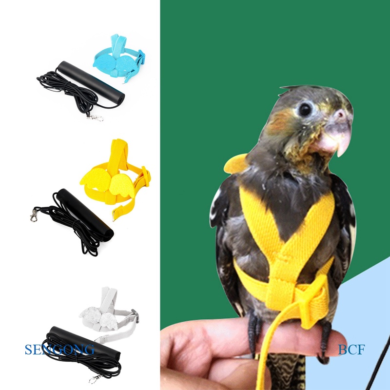 Sengong Bird Leash, Pet Parrot Bird Harness And Leash Flying Rope ...