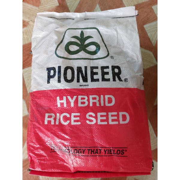☃Pioneer 77 Hybrid Rice Seeds 3Kgs. | Shopee Philippines