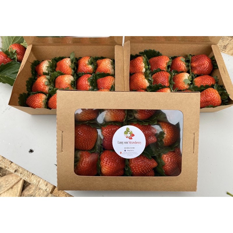 20 rectangular Kraft paper boxes with clear glass lids for salads and ...