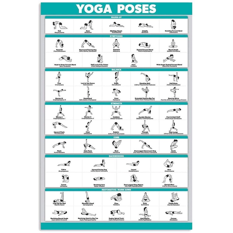 Yoga Poses Women Love Yoga Yogis Warn Up Stretching Balance Strength ...