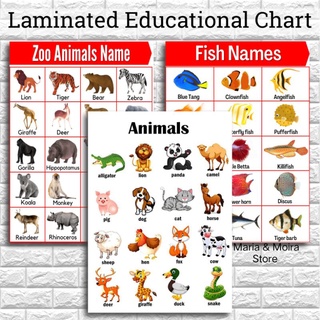 ANIMALS Educational Laminated Wall Chart | A4 Size | Animals Chart ...