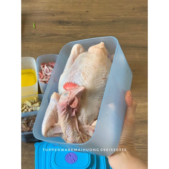 Tupperware Medium Freezermate 2.3L freezer box (contains whole chicken ...