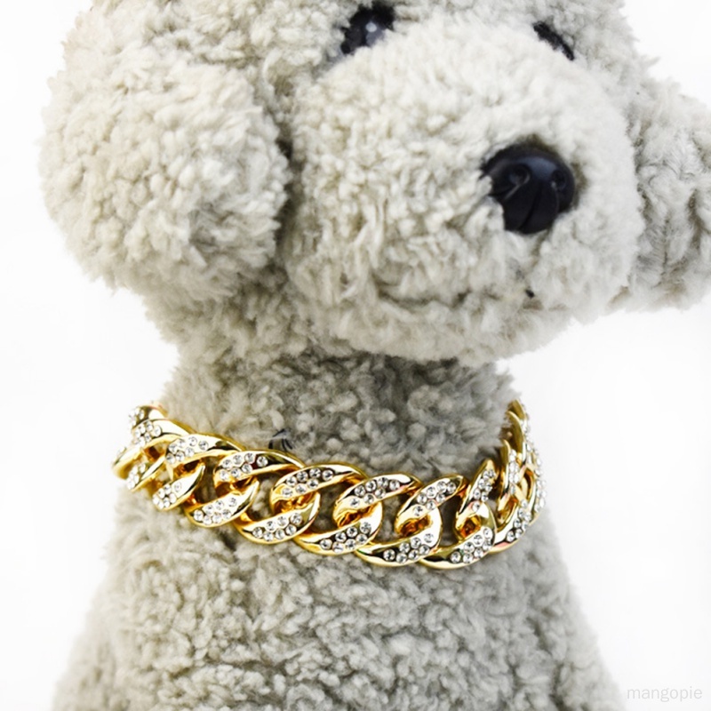 Gold Link Chain Necklace for Dogs Sparkling Gold Tiny Bling for Small ...