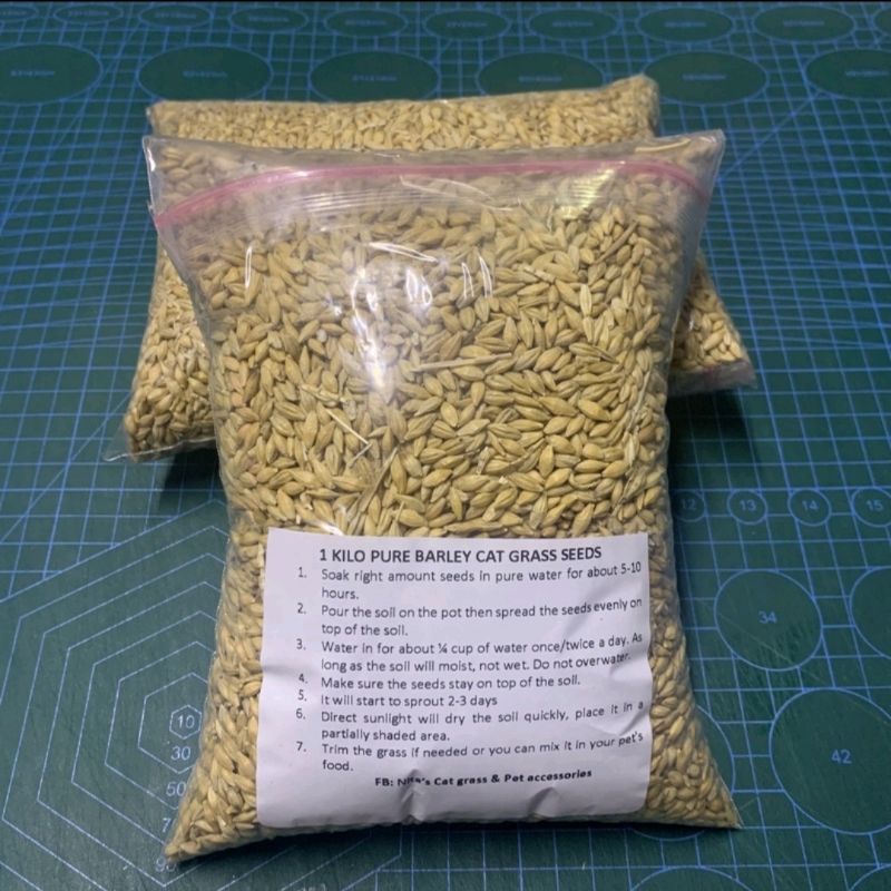 1KG Pure barley seeds / Pure wheat grass /Organic | Shopee Philippines