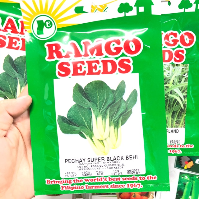PECHAY SEEDS PACK SIZE - PECHAY SUPER BLACK BEHI SEED | Shopee Philippines