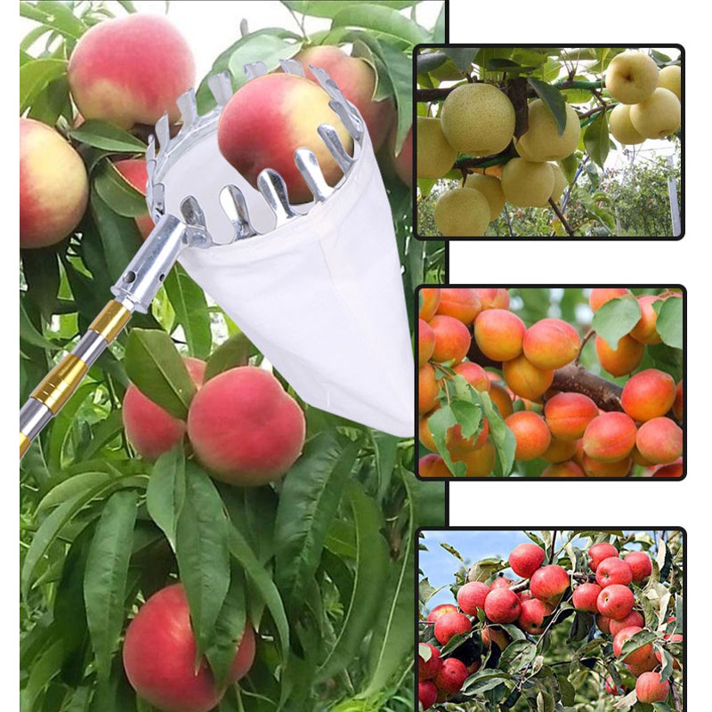 New Fruit Picker Convenient Quick High-altitude Telescopic Fruit Picker ...