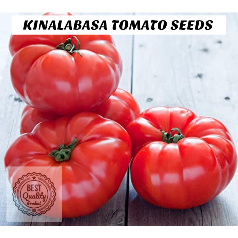 30pcs seeds KINALABASA / NATIVE TOMATO SEEDS | Shopee Philippines