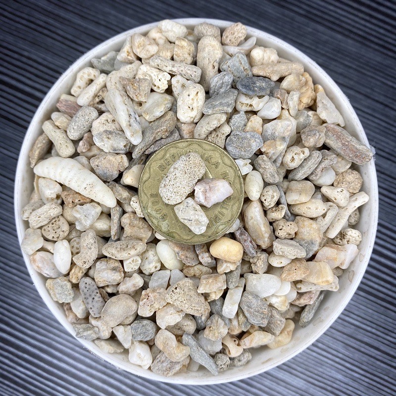 Pebbles Plants/Aquarium - Assorted, Black, Boracay, White Selected ...