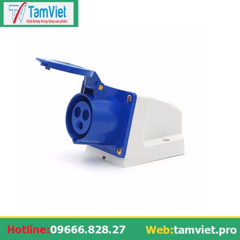 1-phase 16A 3-pin industrial wall socket (fixed) | Shopee Philippines