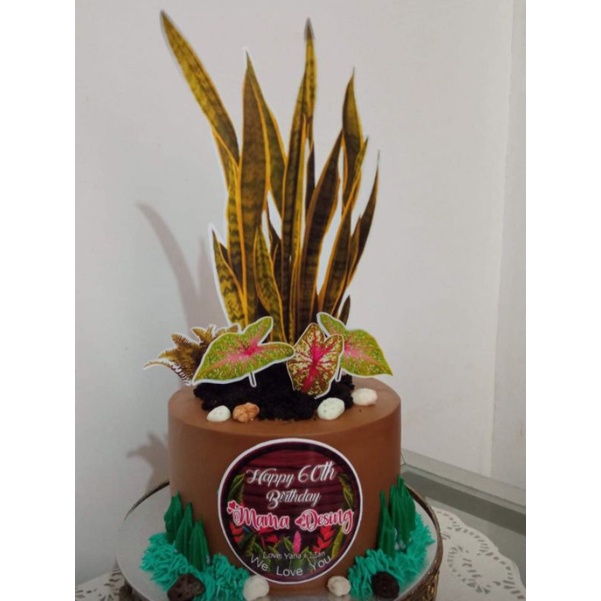 Plantita / Plants / Snake Plants theme cake topper | Shopee Philippines