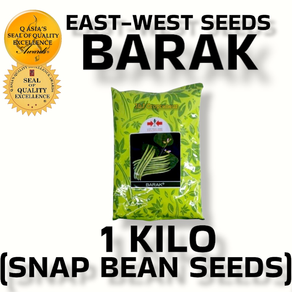 BARAK SNAP BEANS (1 KILO) BAGUIO BEANS SEEDS BY EAST WEST SEEDS ...