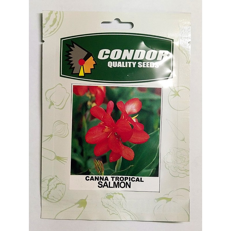 CANNA TROPICAL SALMON FLOWER PLANT SEEDS BY CONDOR (8 SEEDS) | Shopee ...
