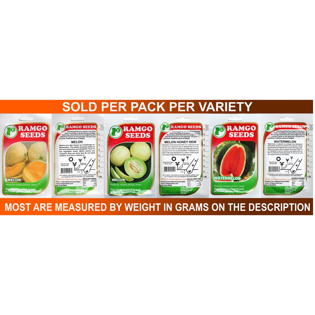 Ramgo Seeds Sold Per Pack Per Variety - Melon Melon Honey Dew ...