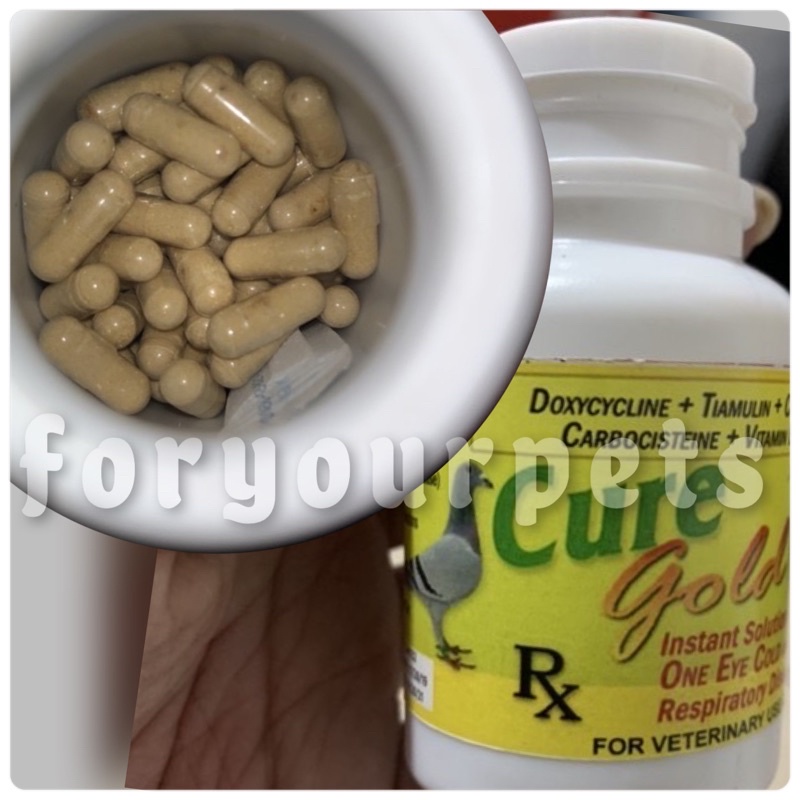 TRI-M Cure Gold Capsule for Pigeon / Kalapati (5 or 10 Capules ...