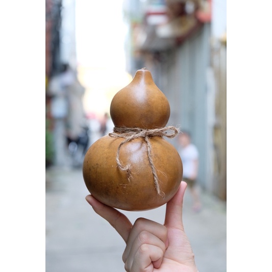 Real gourd, dried, decorative for photography | Shopee Philippines