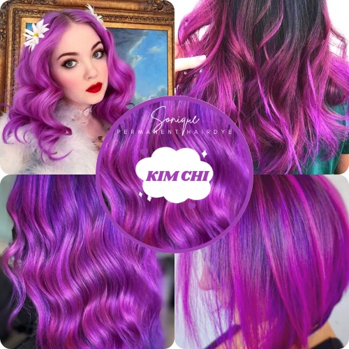 120ML SONIQUE Permanent Hair dye READY TO APPLY! NO NEED OXIDIZER ...