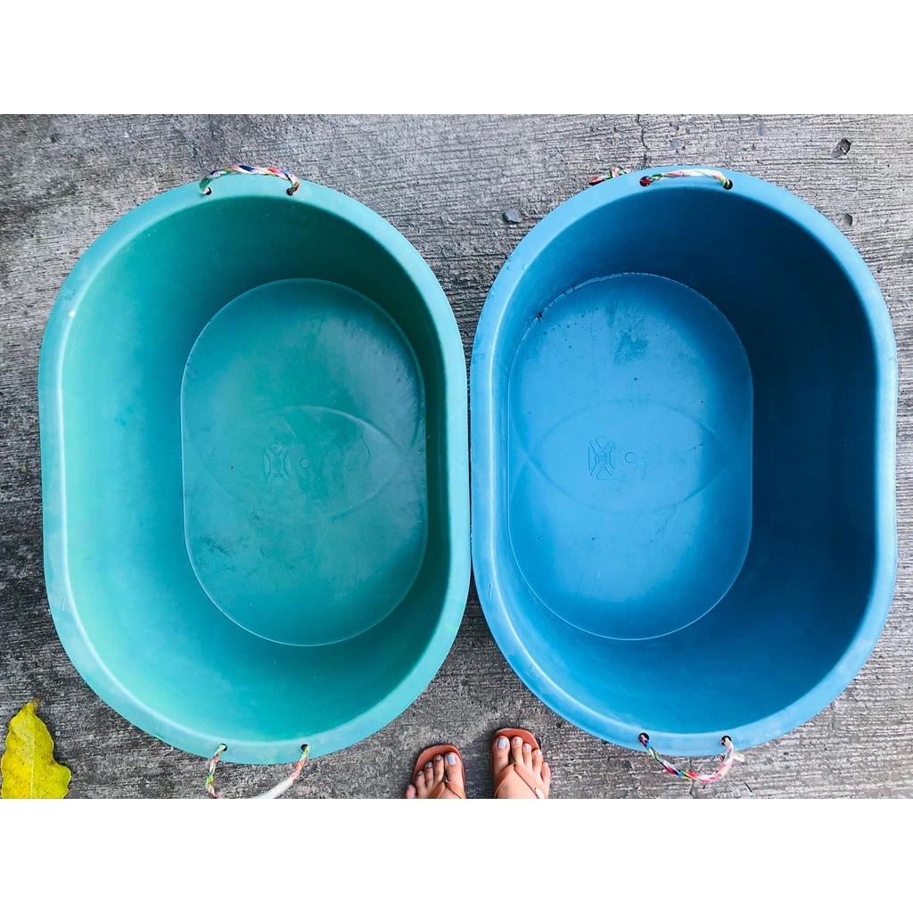 3PCS OBLONG BANYERA FISH CRATE / WASH BASIN 2COLORS | Shopee Philippines