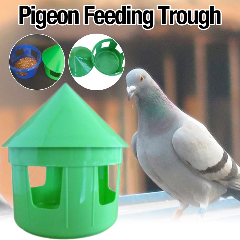 Multipurpose trough pigeon racing pigeon large loess conveyor trough ...