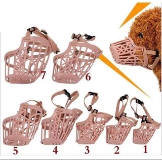 busal - Best Prices and Online Promos - Jul 2024 | Shopee Philippines