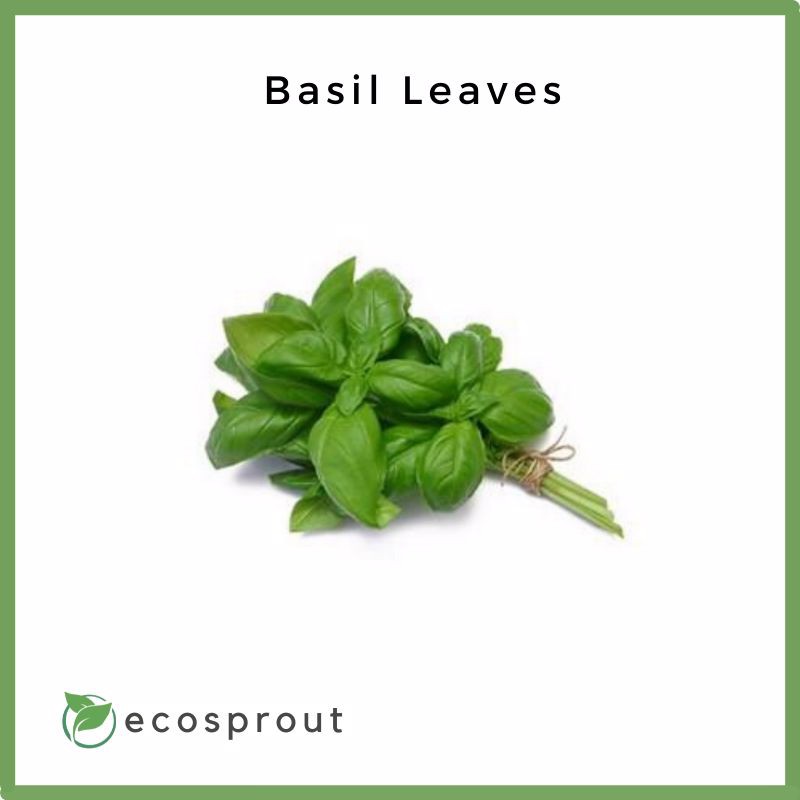 Fresh Basil Leaves | Per 50g | Fresh Vegetables | Fresh Fruits ...