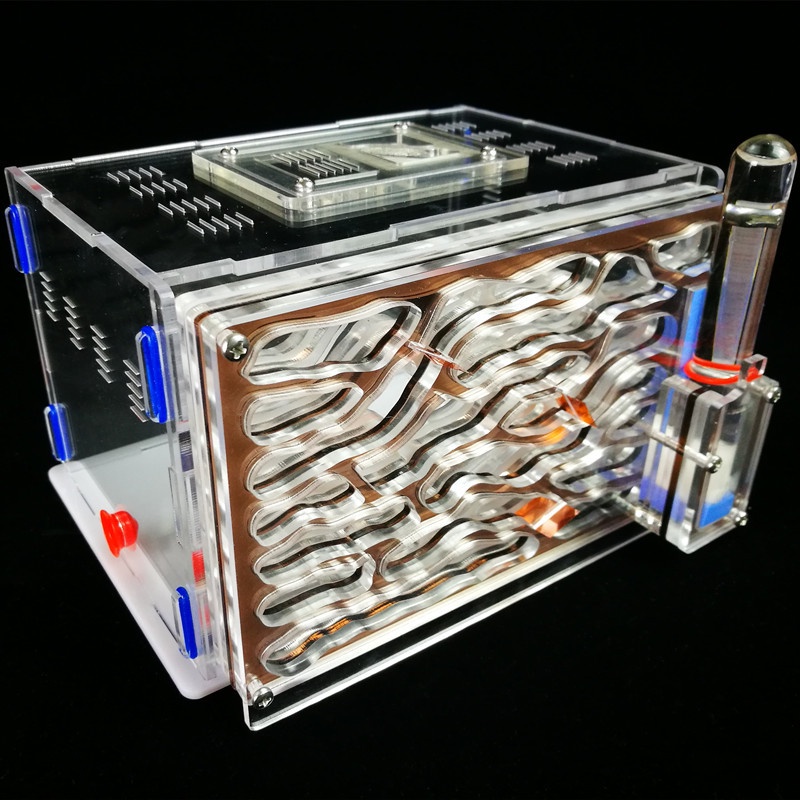 Ant Nest C1 Anthill Farm With Feed Hamper Acrylic Display Box Ant ...