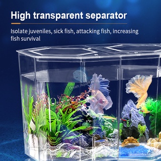 Aquarium Dual Betta Fish tank 2 in 1 Clear Tank With Divider | Shopee ...