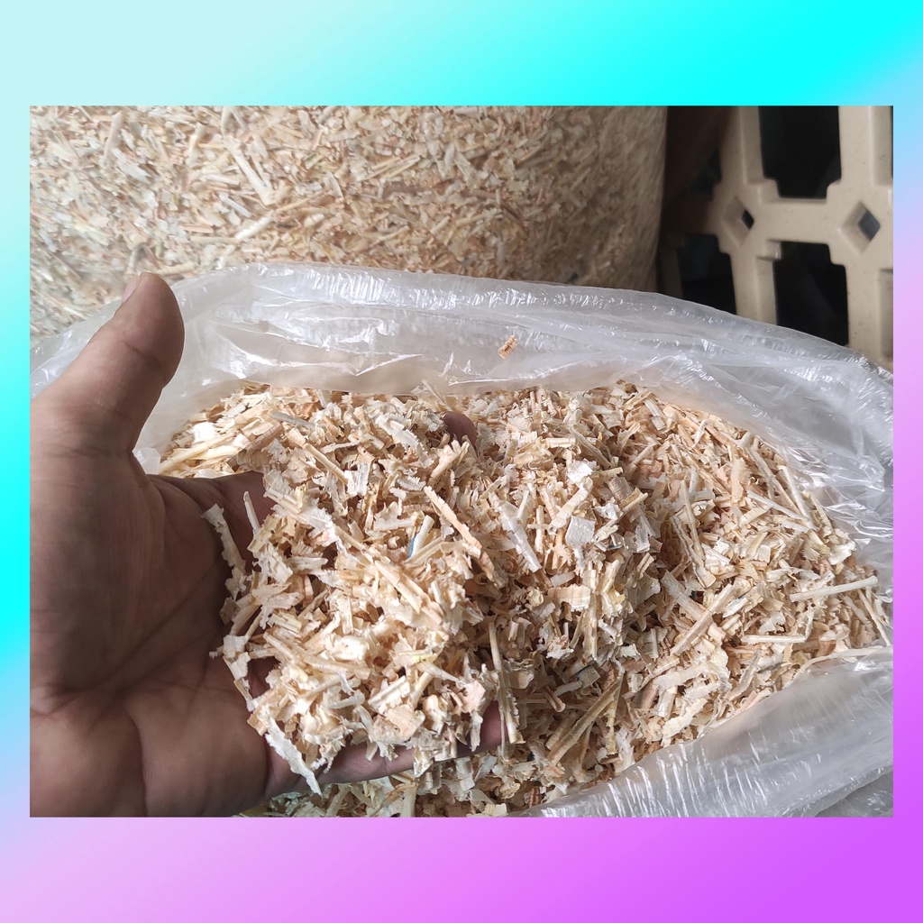 KUSOT PALOCHINA 1 SACK 4KG CHIPSI TYPE BISTAY NA | Shopee Philippines