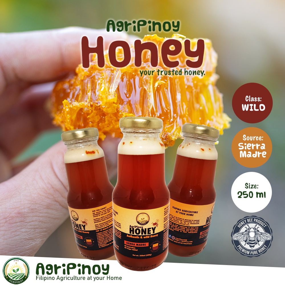 AgriPinoy pure raw and wild organic Honey 350g | Shopee Philippines