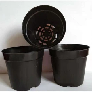 tahoos snacks - Best Prices and Online Promos - Sept 2025 | Shopee ...