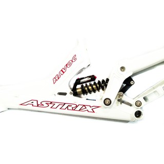 Astrix Havoc Mountain Bike Bicycle Frame White 26x16 | Shopee Philippines