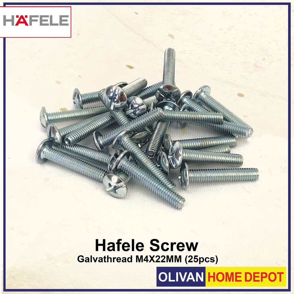 HAFELE Zinc Plated Screw Galvathread M4X22mm (25pieces) | Shopee ...