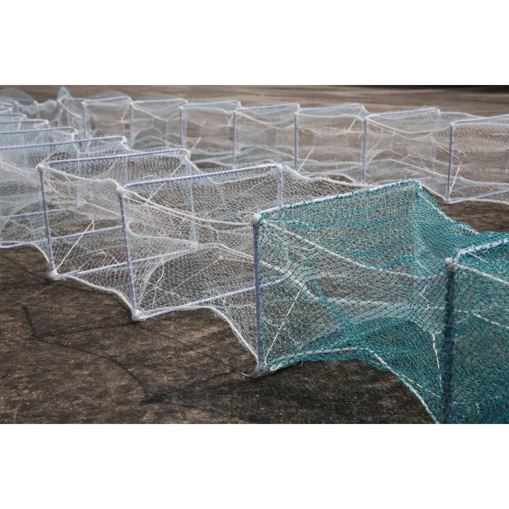 10M Dragon Bubo (Fish/Shrimp Traps) | Shopee Philippines