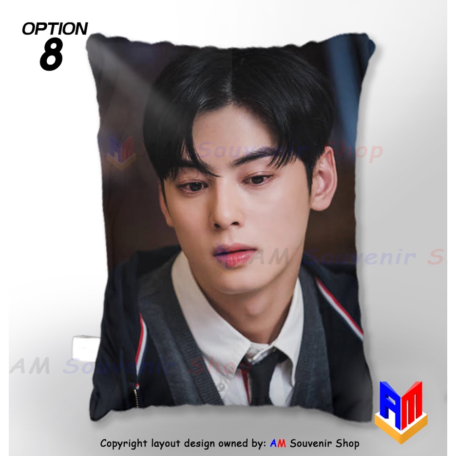cha eun woo / ASTRO / Mini Pillow / kpop / am_souvenirshop | Shopee ...