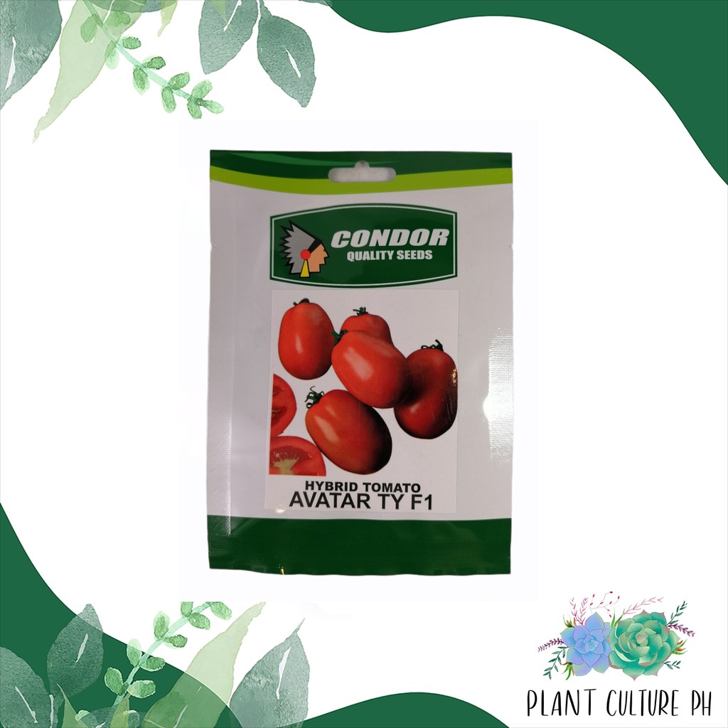 Condor Quality Seeds Hybrid Tomato Avatar Ty F1 0.3G | Shopee Philippines
