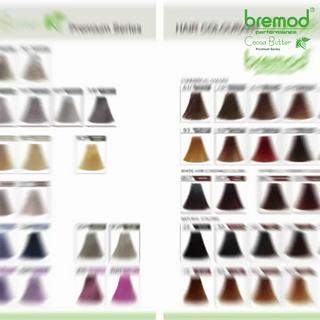 Bremod Hair Color Premium Cocoa Ash, purple ,blue ,pink brown,.00 ...