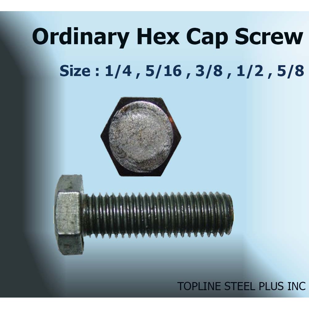 10 PCS. 1/4" ORDINARY HEXAGONAL CAP SCREW | Shopee Philippines