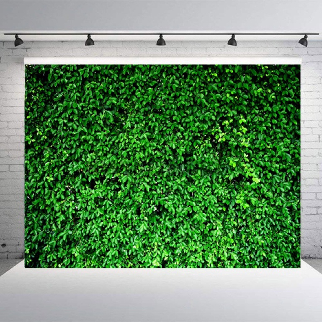 Green Leaves Wall Backdrop for Photography Grass Background Spring ...