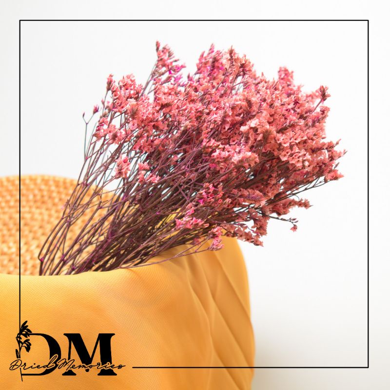 Dried Caspia (2-3 stems) Preserved Real Misty Flower Gift Wedding Party ...