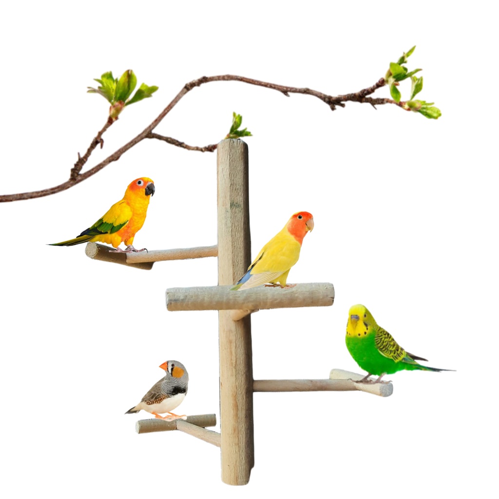 The Bird Shop PH 8 step Ladder Perch Swing Wooden Bird Toys | Shopee ...