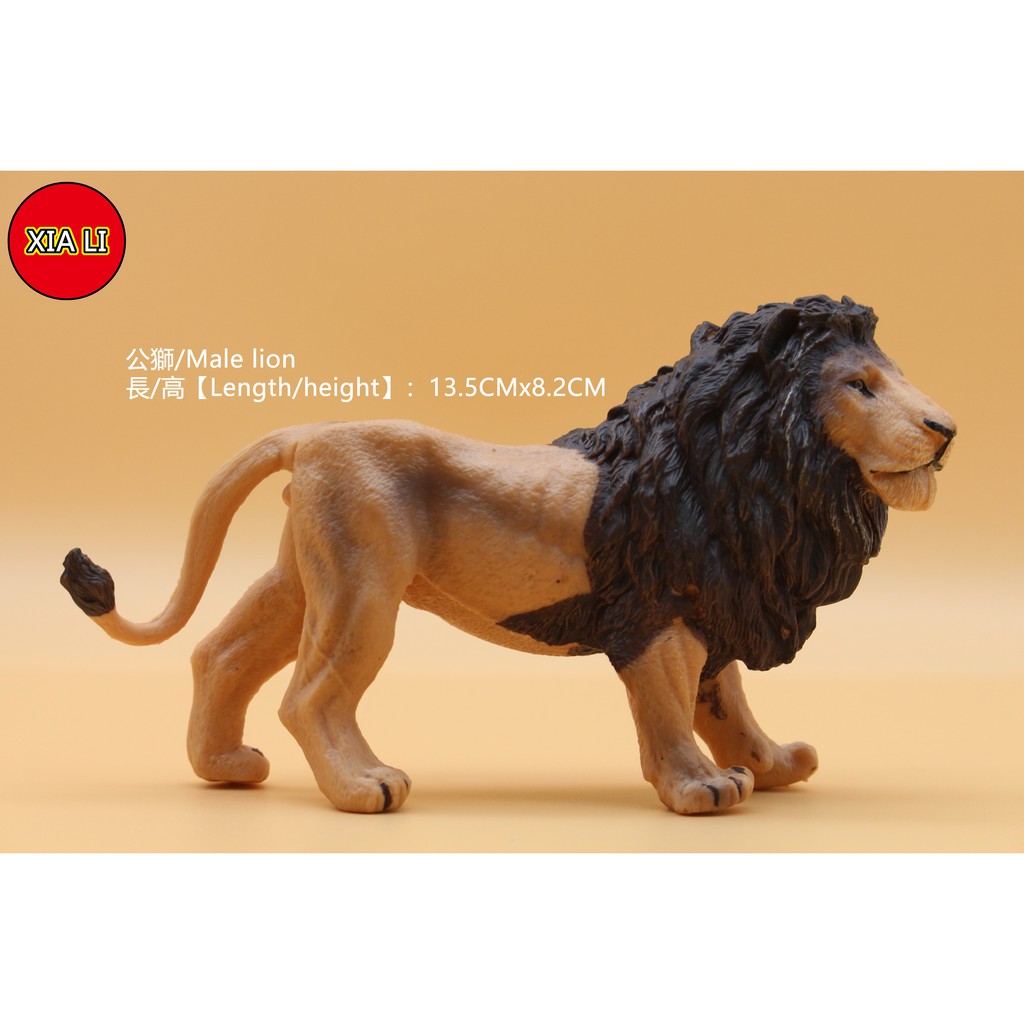 【Spot】Solid African Wild Animals Simulation Lion Male lion Lioness Set ...