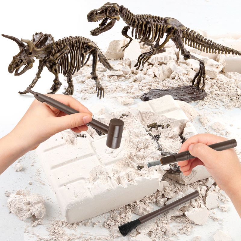 Educational Dinosaur Fossil Excavation Toys Archaeological Dig Toy DIY ...
