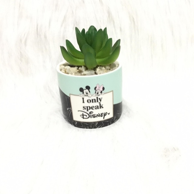 Mickey & Minnie Mouse plant | Shopee Philippines