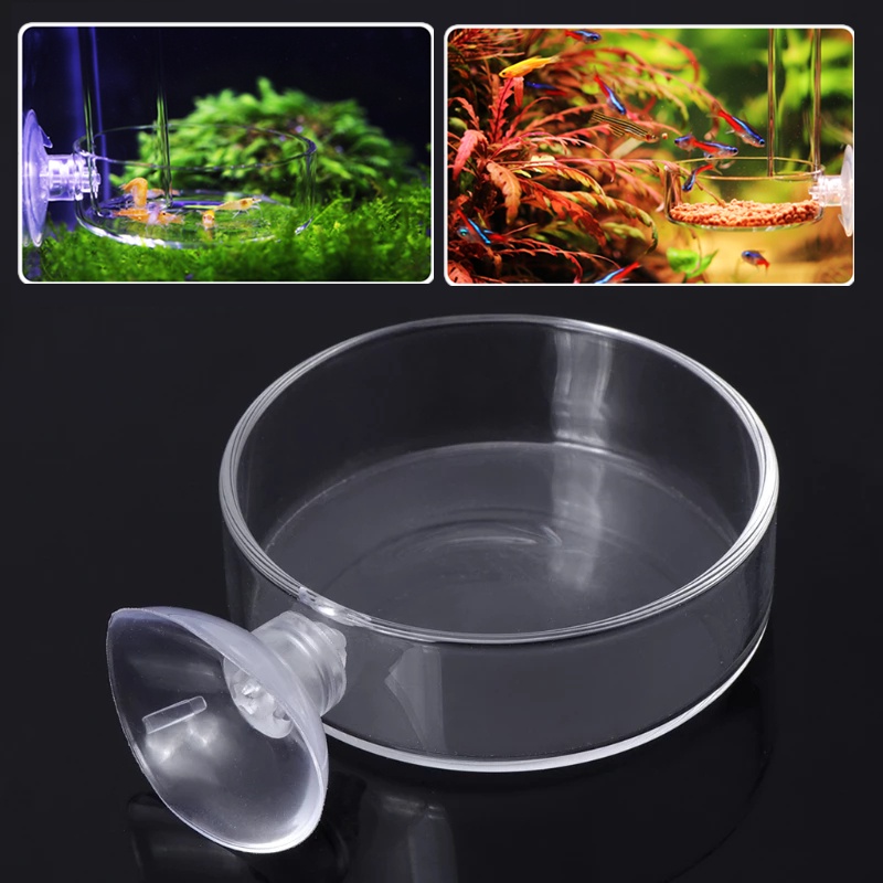 Glass Fish Tank Feeding Dish Aquarium Shrimp Food Feeder Bowl Cup With ...