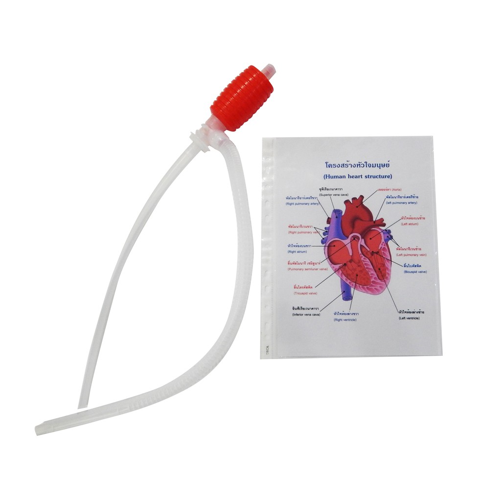 Simulation Heart Set With Comparator (Heart Pumping Action) | Shopee ...