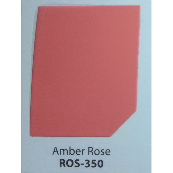 RAIN OR SHINE ELASTOMERIC WATERPROOFING PAINT 1 GALLON (PART2) WALANG ...