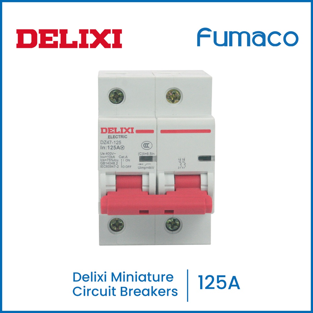 Delixi Miniature Circuit Breaker - 125A / 2 Poles / Best Breaker for Panel Boards | Shopee ...
