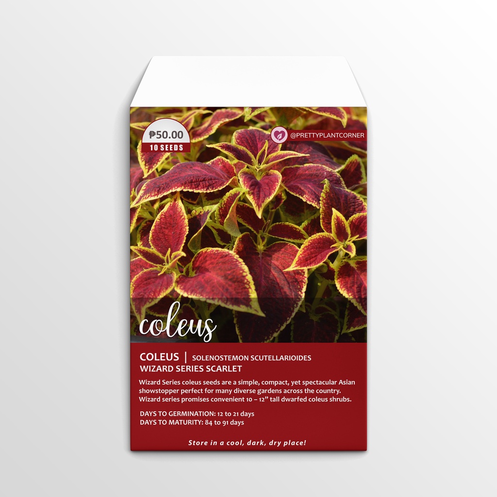 Coleus Wizard Series Scarlet Seeds | Shopee Philippines